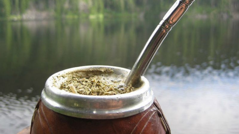 En Argentina celebra desde el año 2015 el Día Nacional del Mate 【 Fans ...